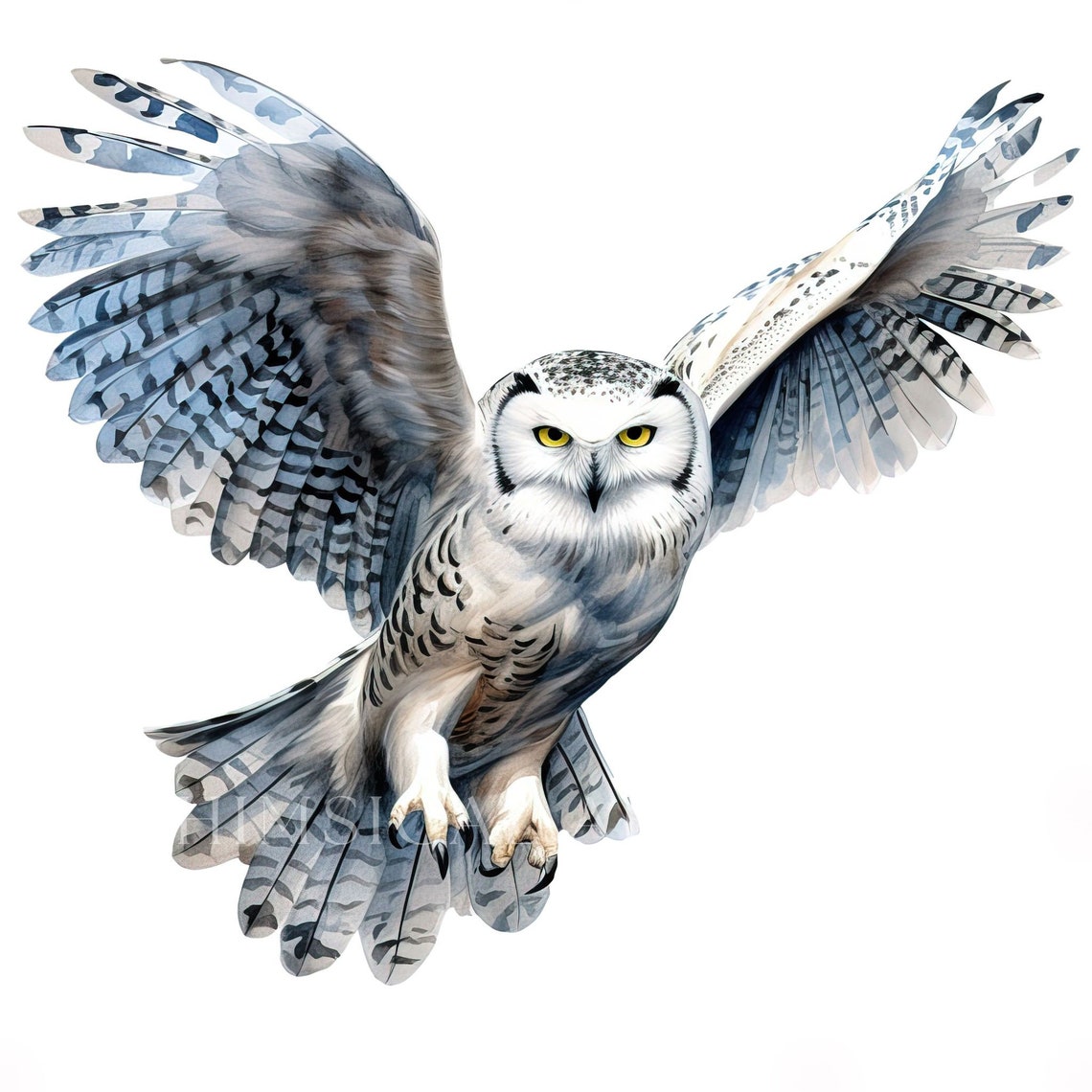 Snowy Owl Clipart, Bird Clipart, Watercolor Snowy Owls, Owls ...