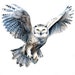 Snowy Owl Clipart, Bird Clipart, Watercolor Snowy Owls, Owls ...