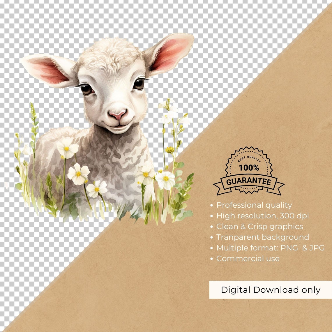 Cute Lamb Clipart, Young Sheep PNG, Cute Lamb Illustration, Watercolor ...