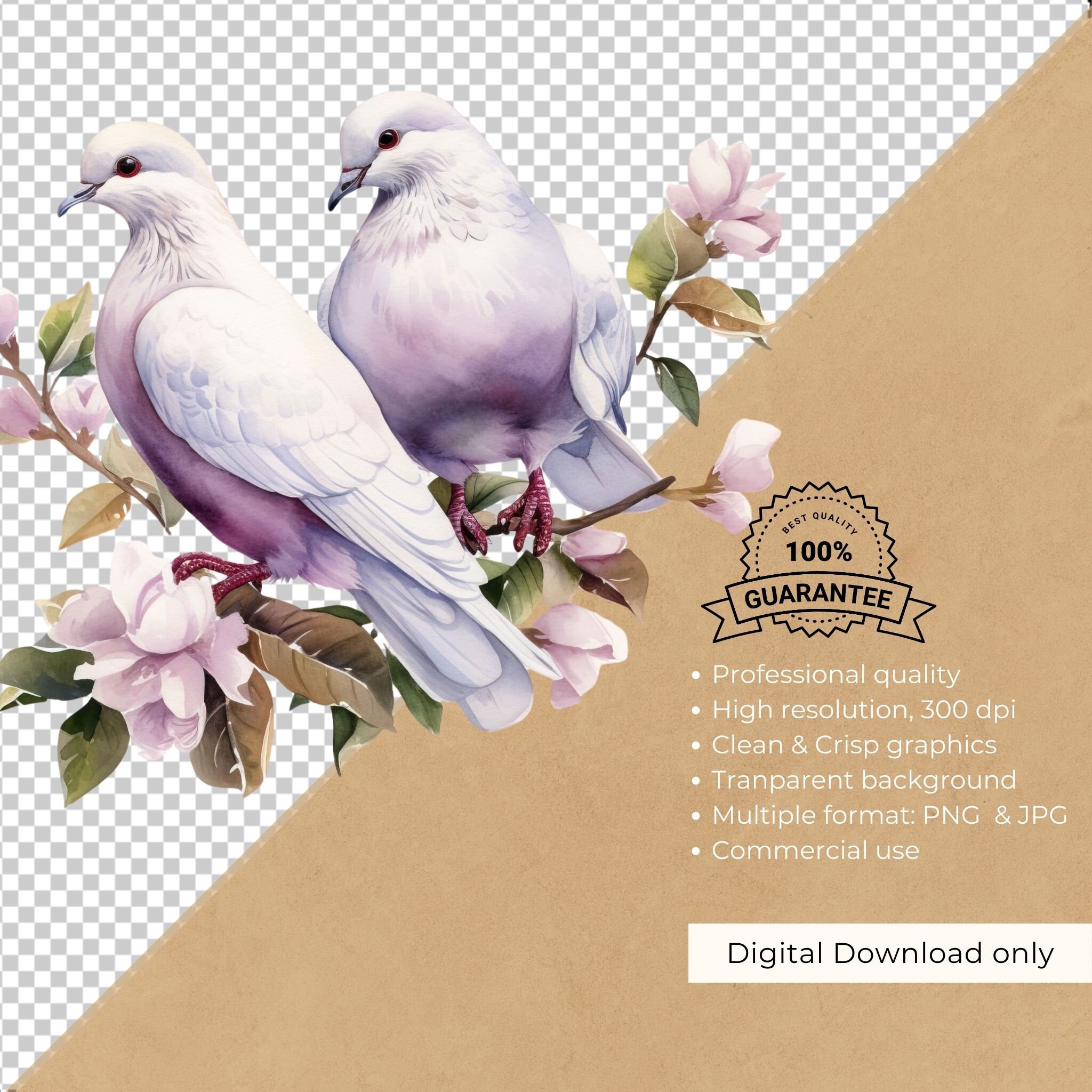 Dove Clipart, A Pair of White Doves on Flowery Branch Art Peaceful Bird ...