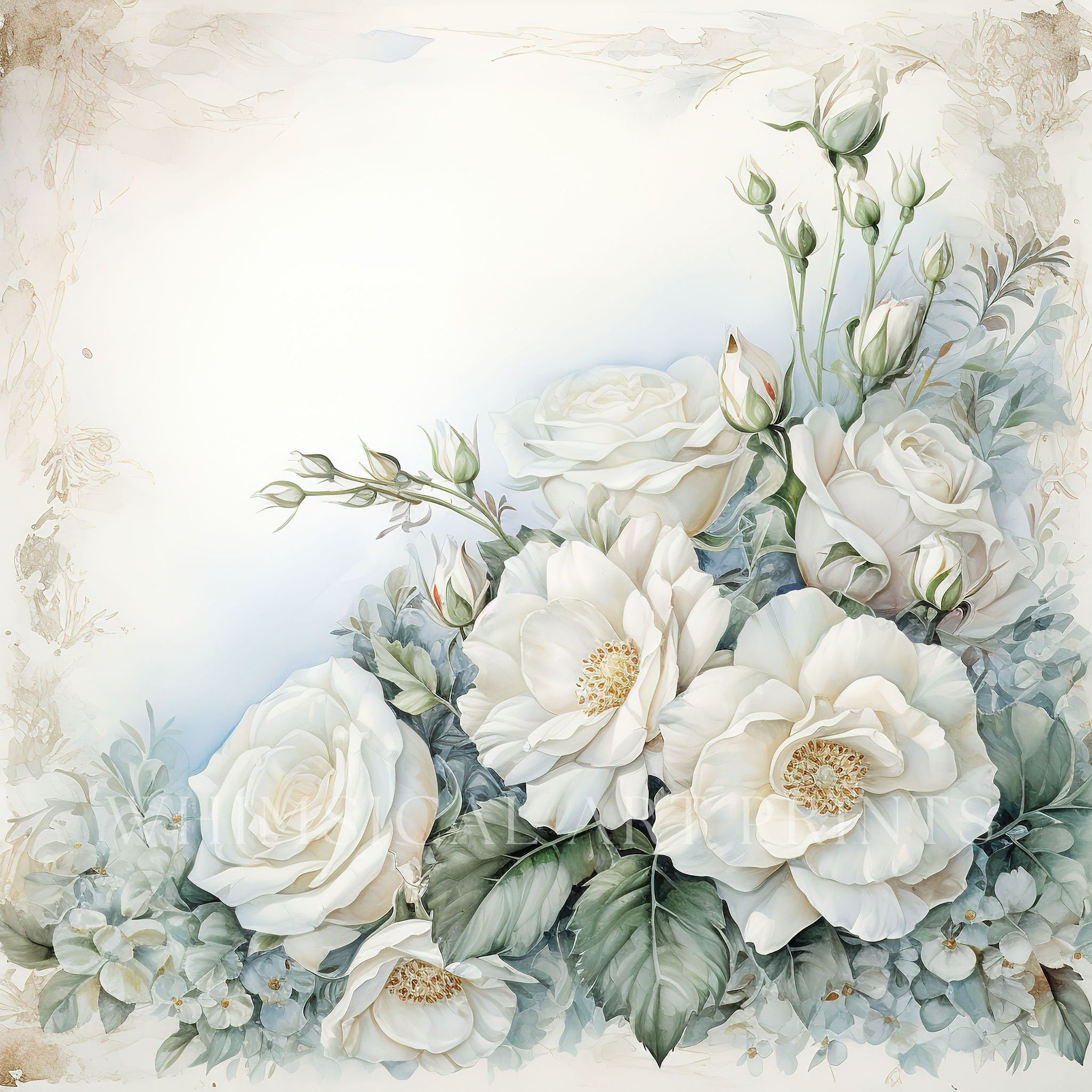 Romantic White Roses Digital Paper, Background Graphics, Watercolor ...