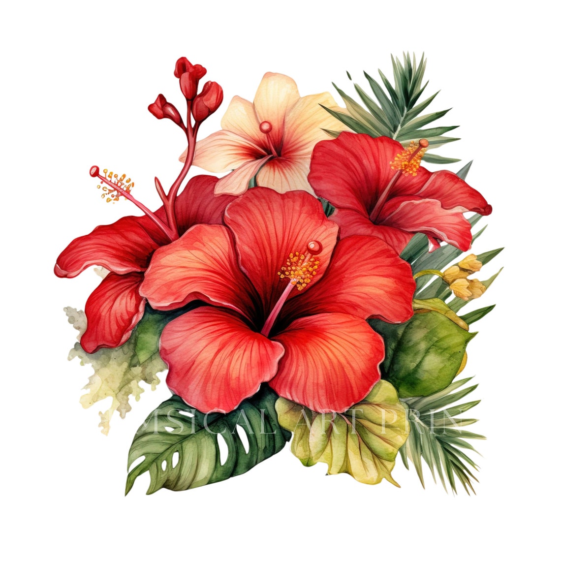 Watercolor Red Hibiscus Clipart Set: Tropical Flower Graphics (JPG, PNG ...