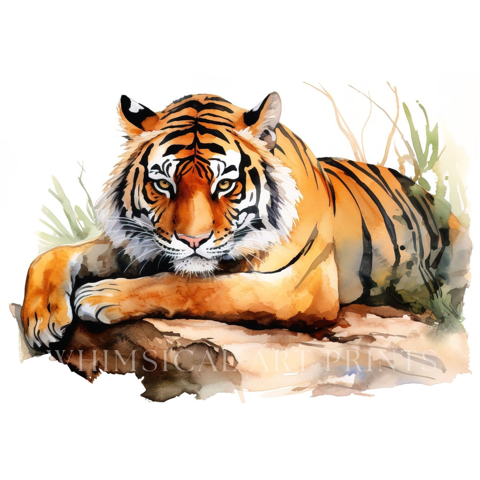 Adult Tiger PNG, Watercolor Tiger Clipart, Tiger Portrait, Tiger Wall ...