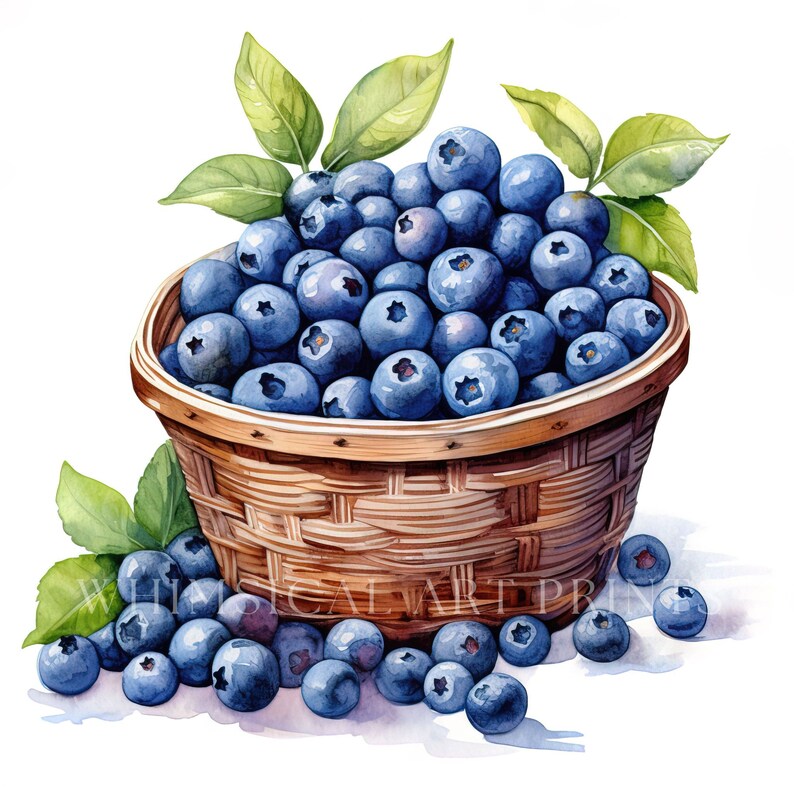 Blueberries Clipart Blueberry in a Basket Berries Clipart - Etsy