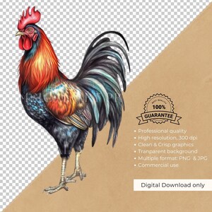 Watercolor Rooster Clipart: Farmhouse Rustic PNG JPG (digital Download ...