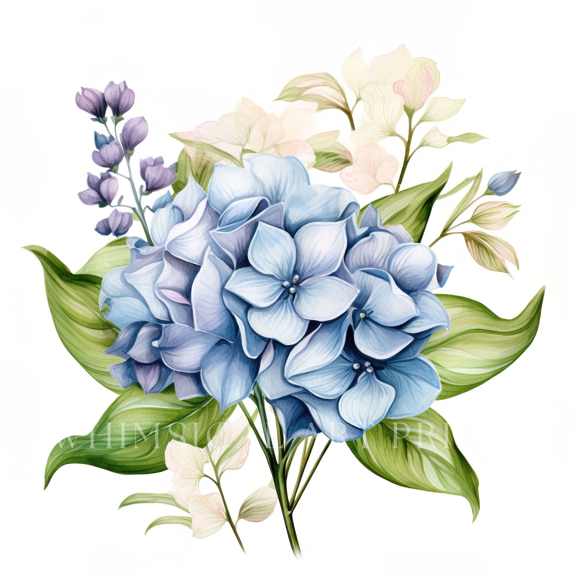 Blue Hydrangeas Clipart, Hydrangea Bouquet PNG, Hydrangea Watercolor ...