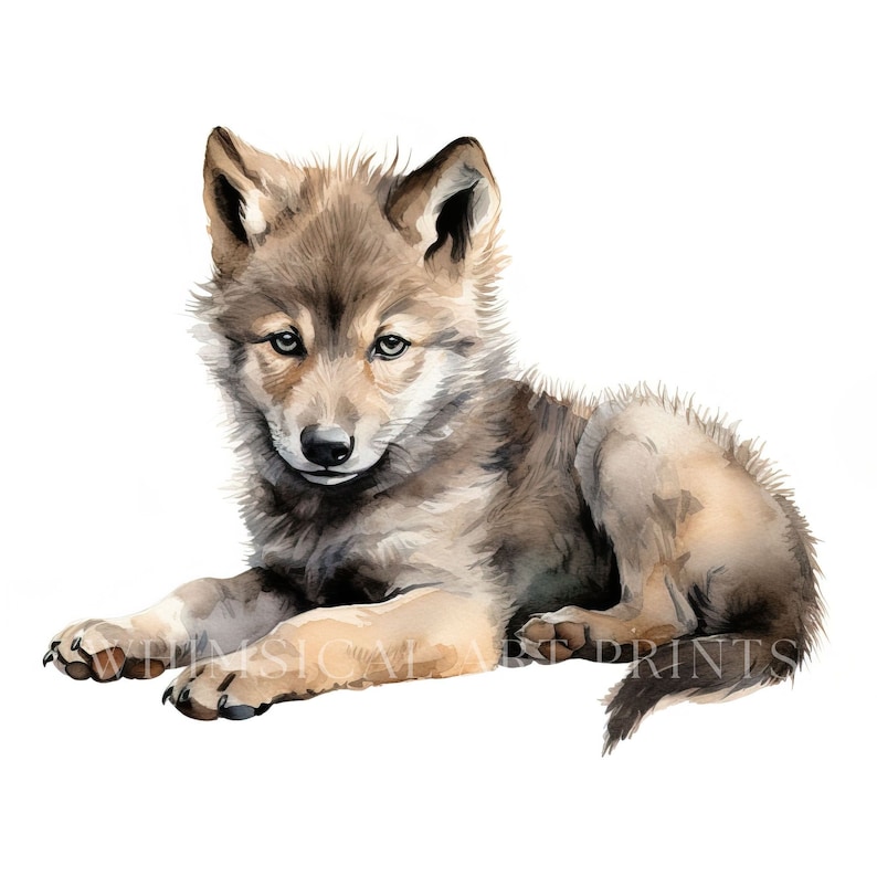 Wolf Puppy PNG, Watercolor Baby Wolf Clipart, Wolf Puppy Portrait, Wall ...