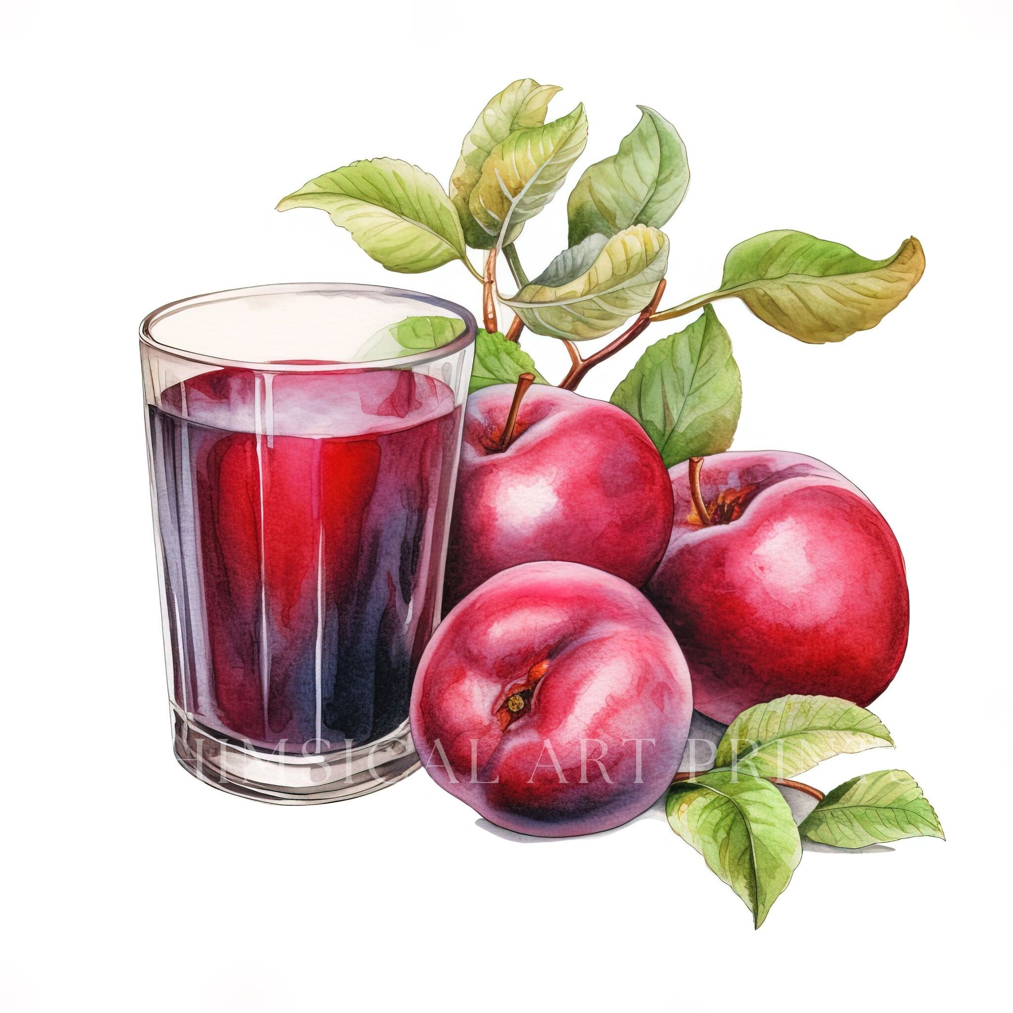 Plum Fruit Clipart, Plums in Basket, Plum Juice Clipart, Fruit ...