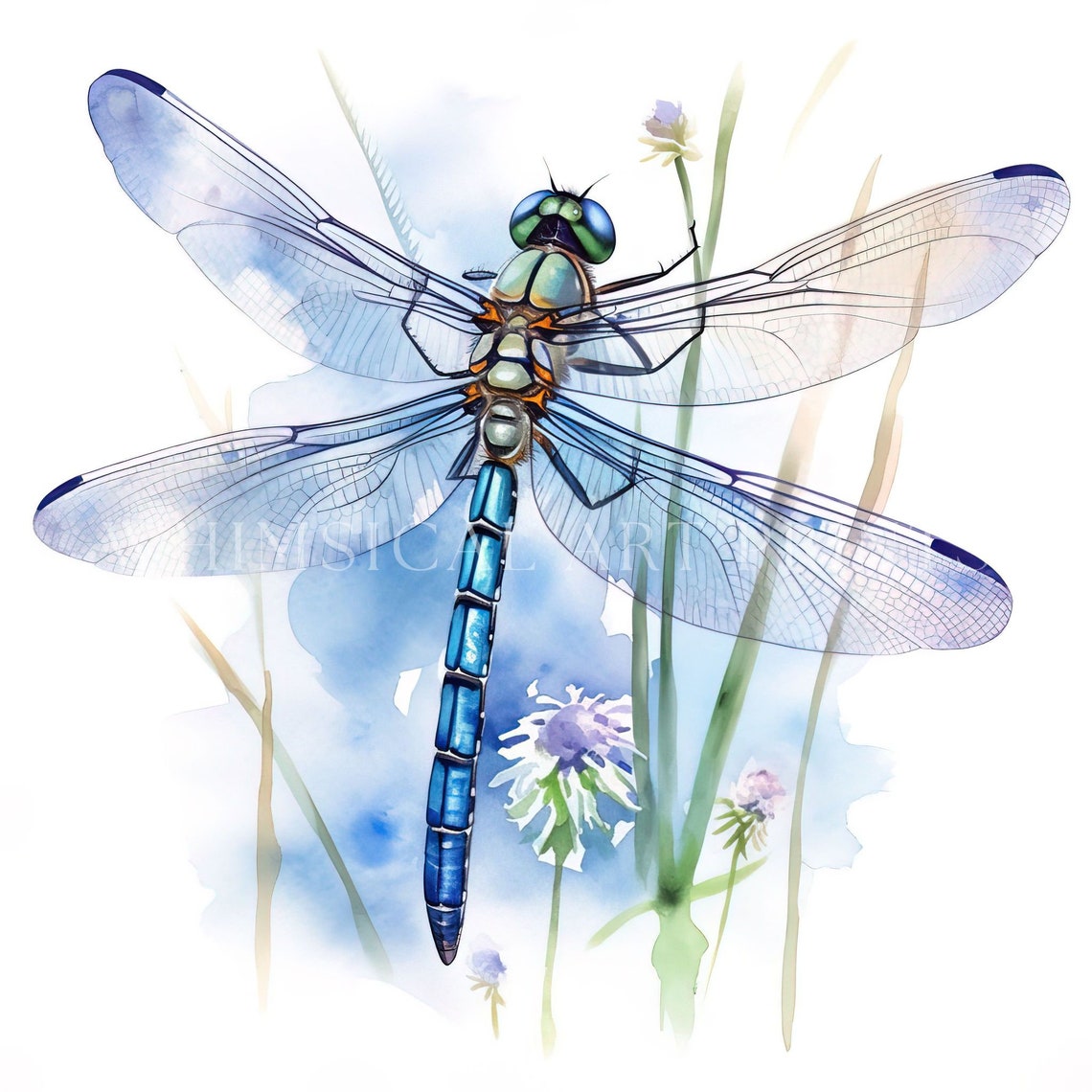 Dragonfly Clipart, Dragonfly Graphics, Watercolor Dragonfly, Dragonfly ...
