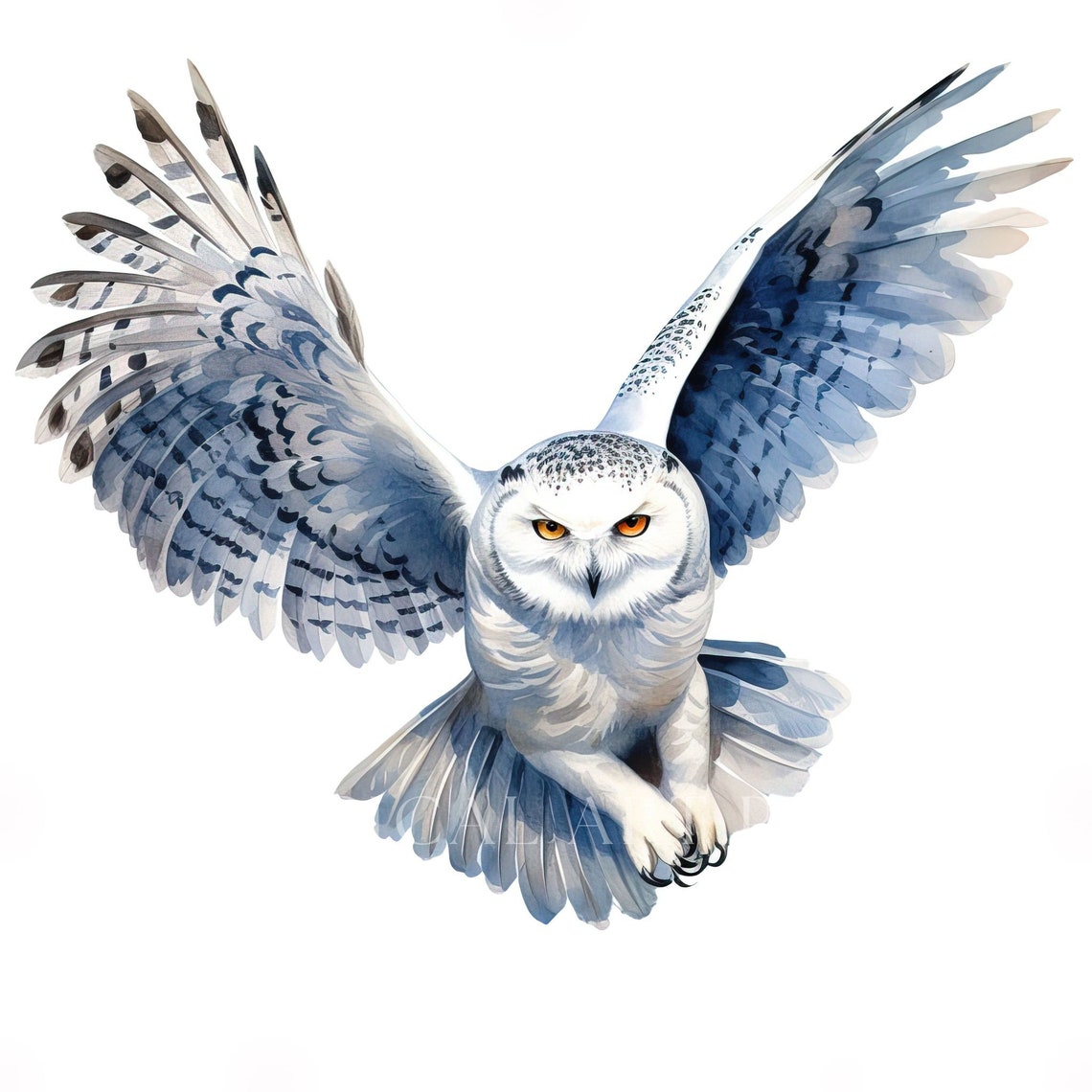 Snowy Owl Clipart, Bird Clipart, Watercolor Snowy Owls, Owls ...