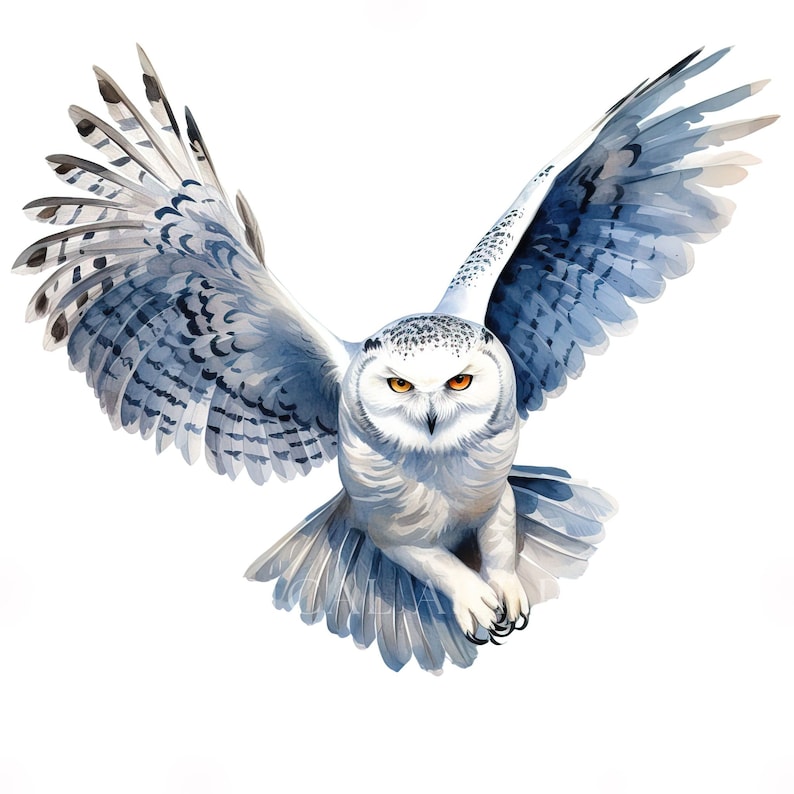 Snowy Owl Clipart, Bird Clipart, Watercolor Snowy Owls, Owls ...