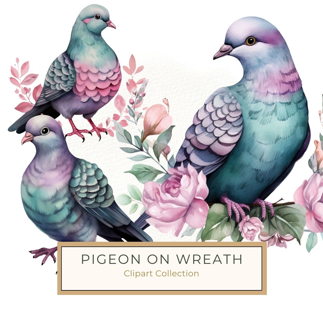 10 Watercolor Pigeon Birds With Spring Floral Accents, Green Pigeon on ...