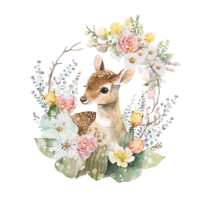 Deer PNG, Fawn baby Deer Clipart, Young Deer in Spring Watercolor Art ...