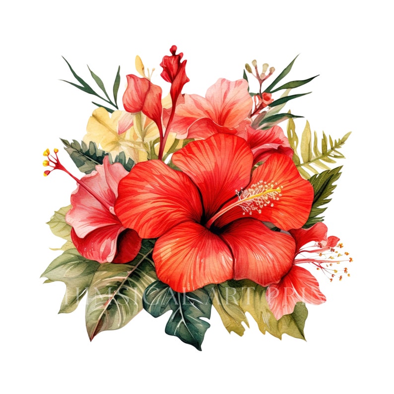 Watercolor Red Hibiscus Clipart Set: Tropical Flower Graphics (JPG, PNG ...