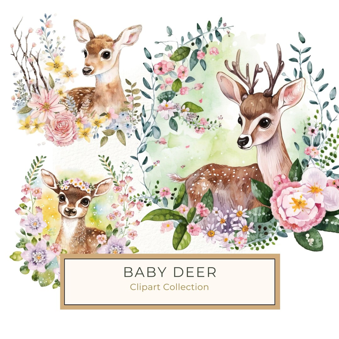 Deer PNG, Fawn (baby) Deer Clipart, Young Deer in Spring Watercolor Art ...
