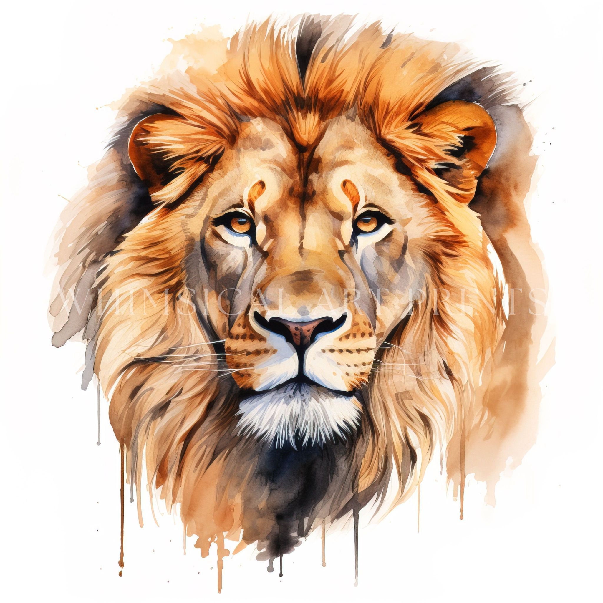 Adult Lion PNG, Watercolor Lions Clipart, Male Lion Portrait, Lion Wall ...