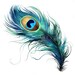 Peacock Feather Clipart Watercolor Feathers Feather - Etsy UK