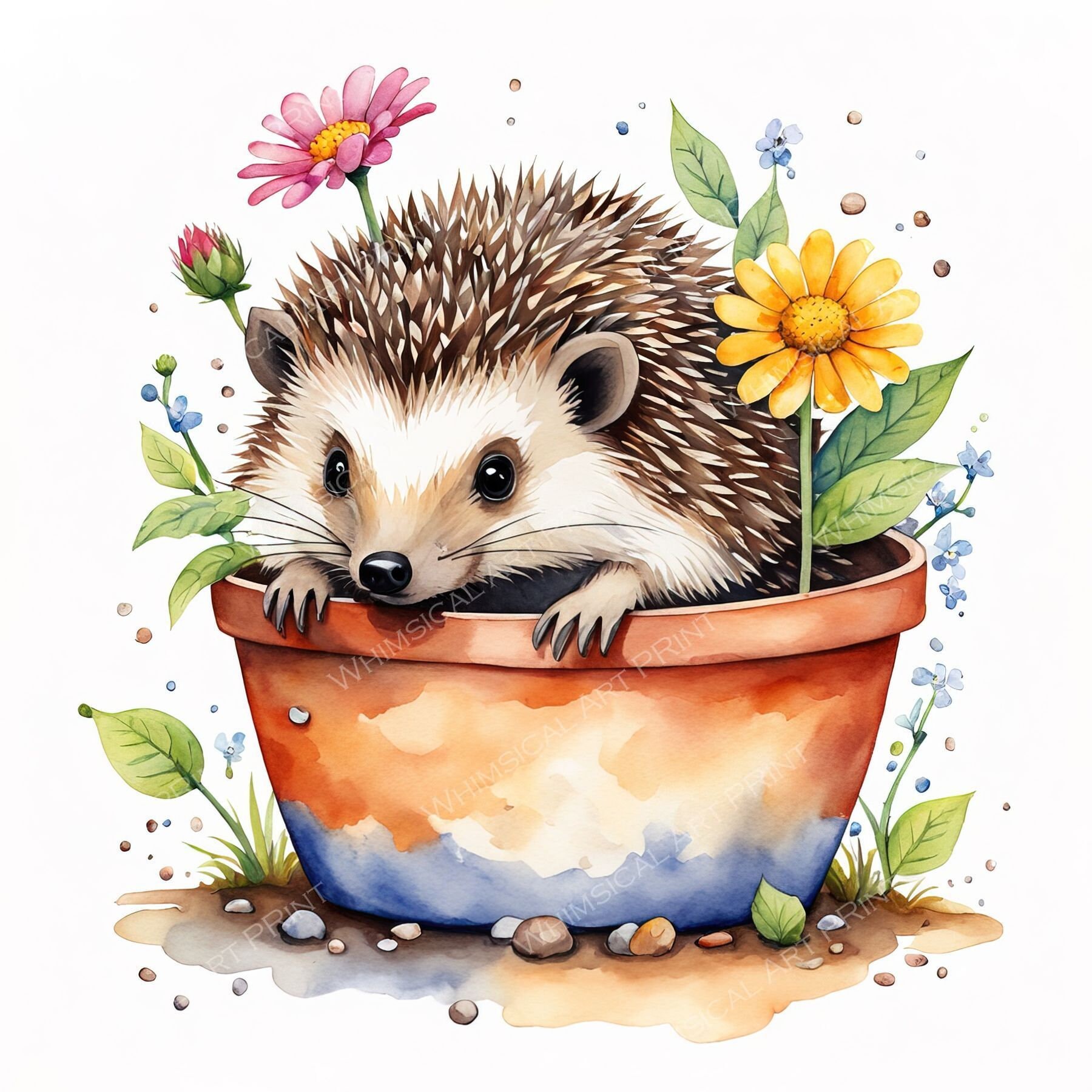 Whimsical Watercolor Hedgehog Clipart: Gardening, Overalls, Sunflowers ...