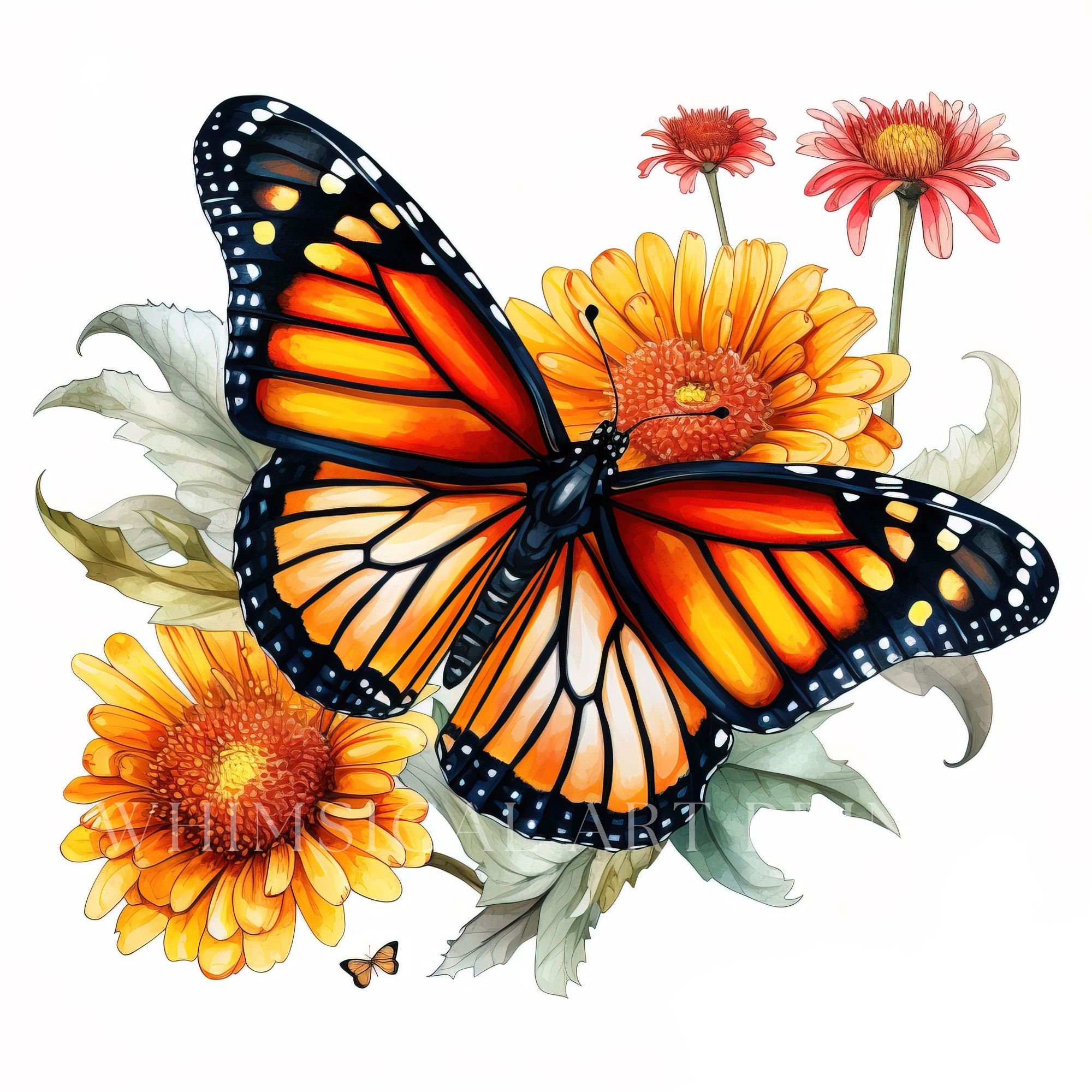 Monarch Butterfly Clipart Close-up Watercolor Clipart - Etsy