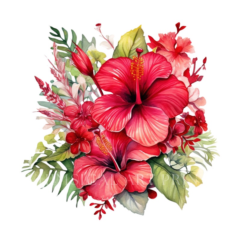 Watercolor Red Hibiscus Clipart Set: Tropical Flower Graphics (JPG, PNG ...