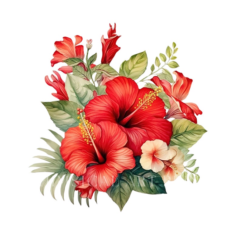 Watercolor Red Hibiscus Clipart Set: Tropical Flower Graphics (JPG, PNG ...