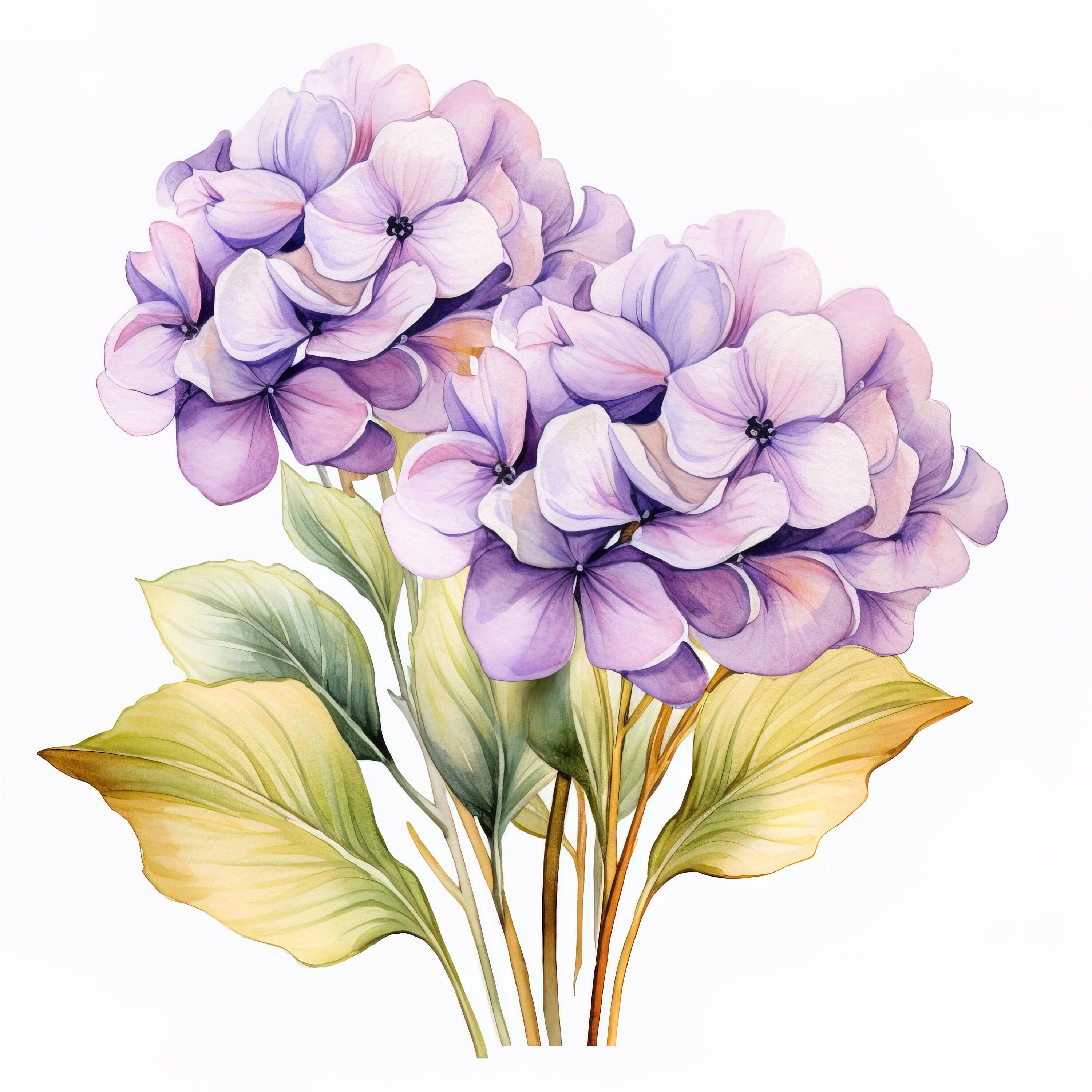 Purple Hydrangeas Clipart, Hydrangea Flowers, Bouquet Clipart ...
