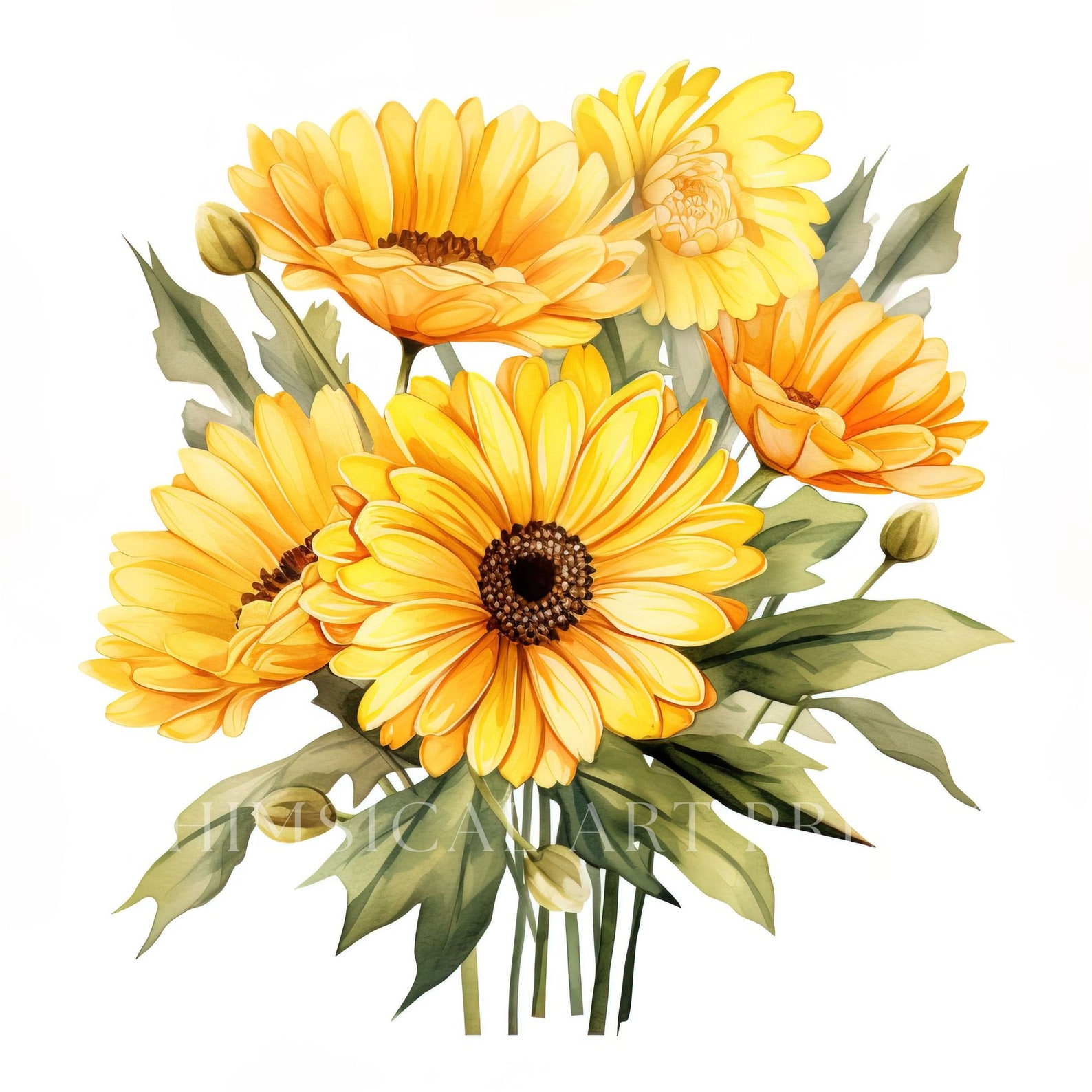 Yellow Daisy Watercolor Clipart: Floral PNG JPG (digital Download) - Etsy