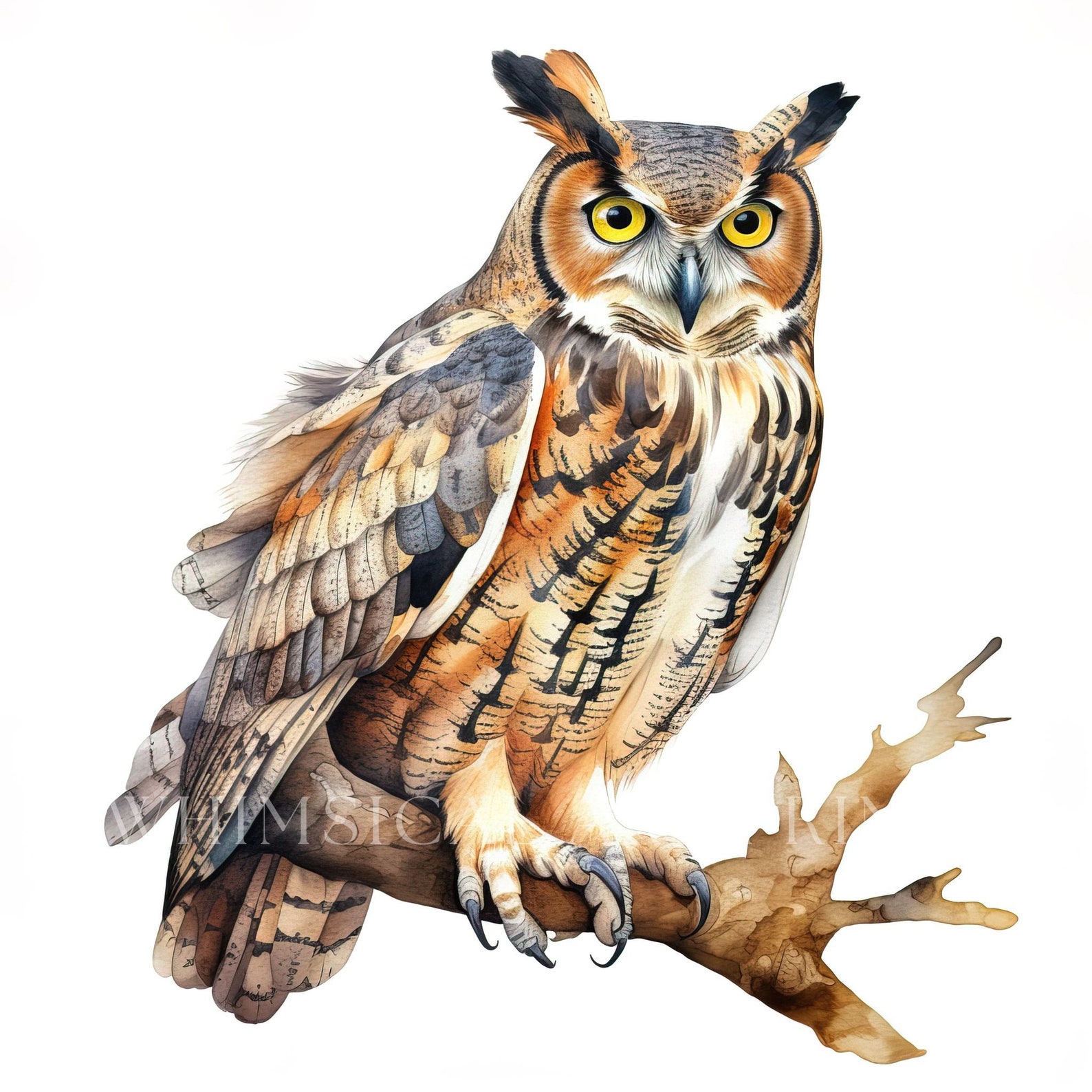 Great-horned Owl Clipart, Bird Clipart, Watercolor Great-horned Owls ...