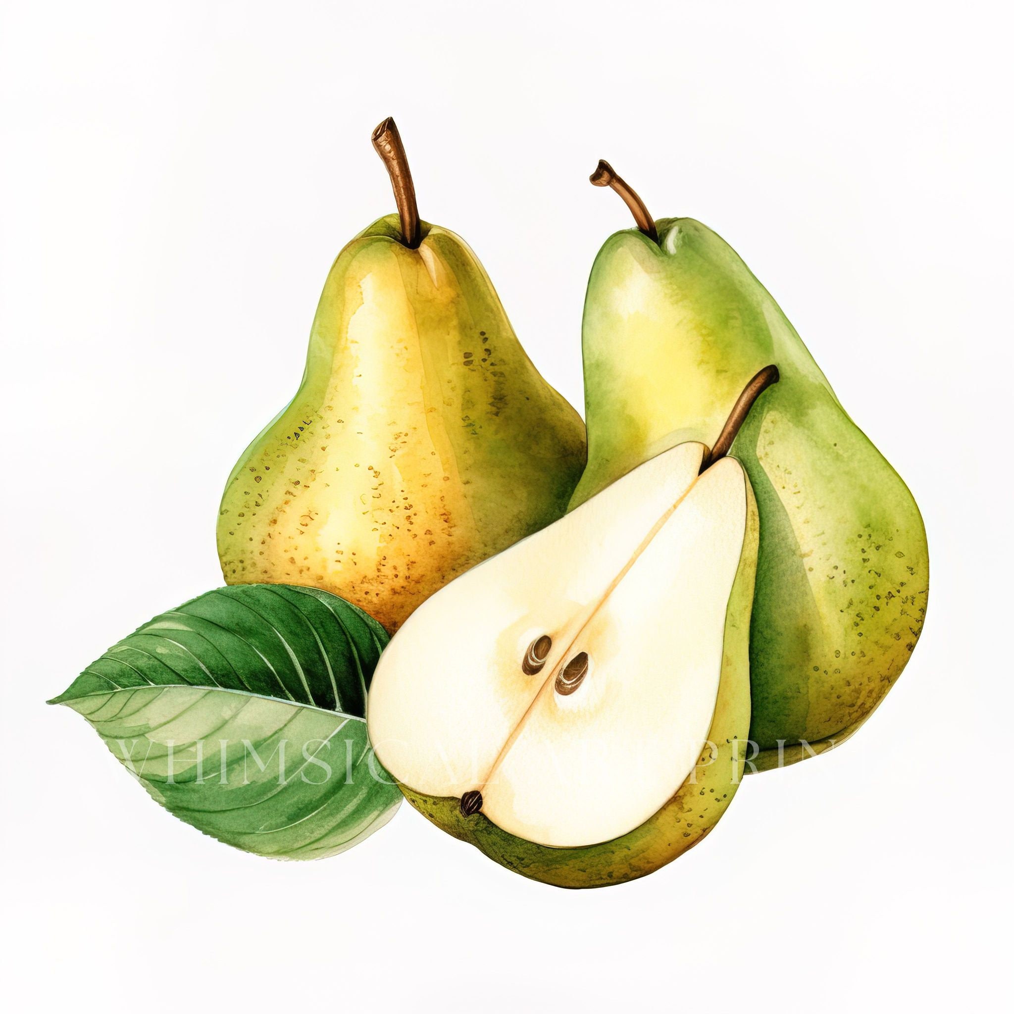 Pears Fruit Clipart, Pears in Basket, Pear Juice Clipart, Watercolor ...