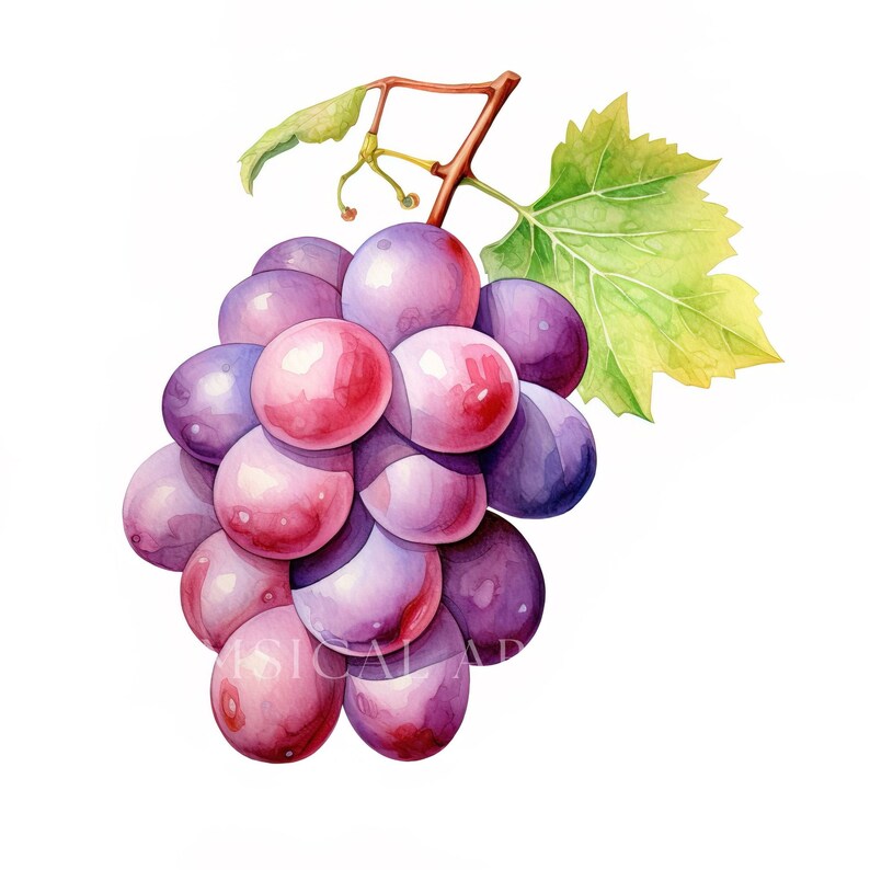 Grapes Clipart, Grape Juice, Fruit Clipart, Watercolor Grapes, Art ...