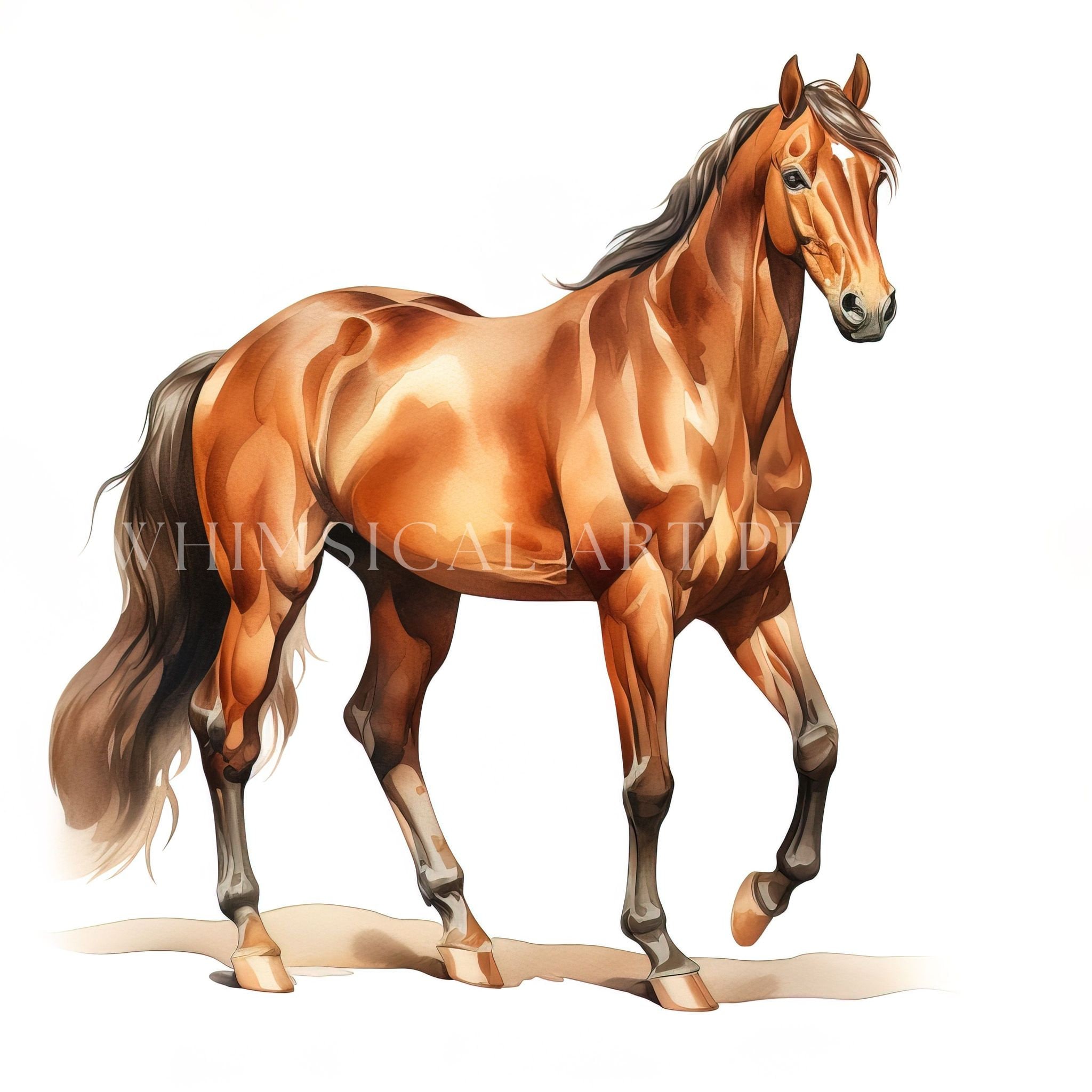 Horse Clipart, Realistic Watercolor Horse PNG, Horse Illustration, Wall ...
