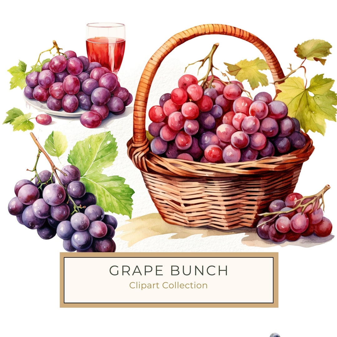 Grapes Clipart, Grape Juice, Fruit Clipart, Watercolor Grapes, Art ...