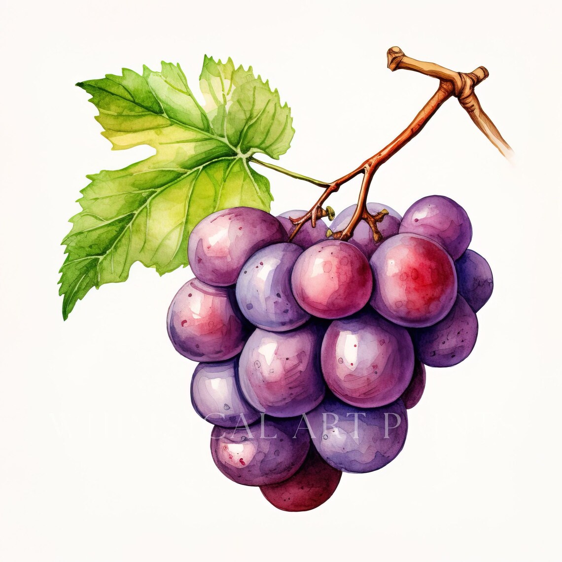 Grapes Clipart, Grape Juice, Fruit Clipart, Watercolor Grapes, Art ...