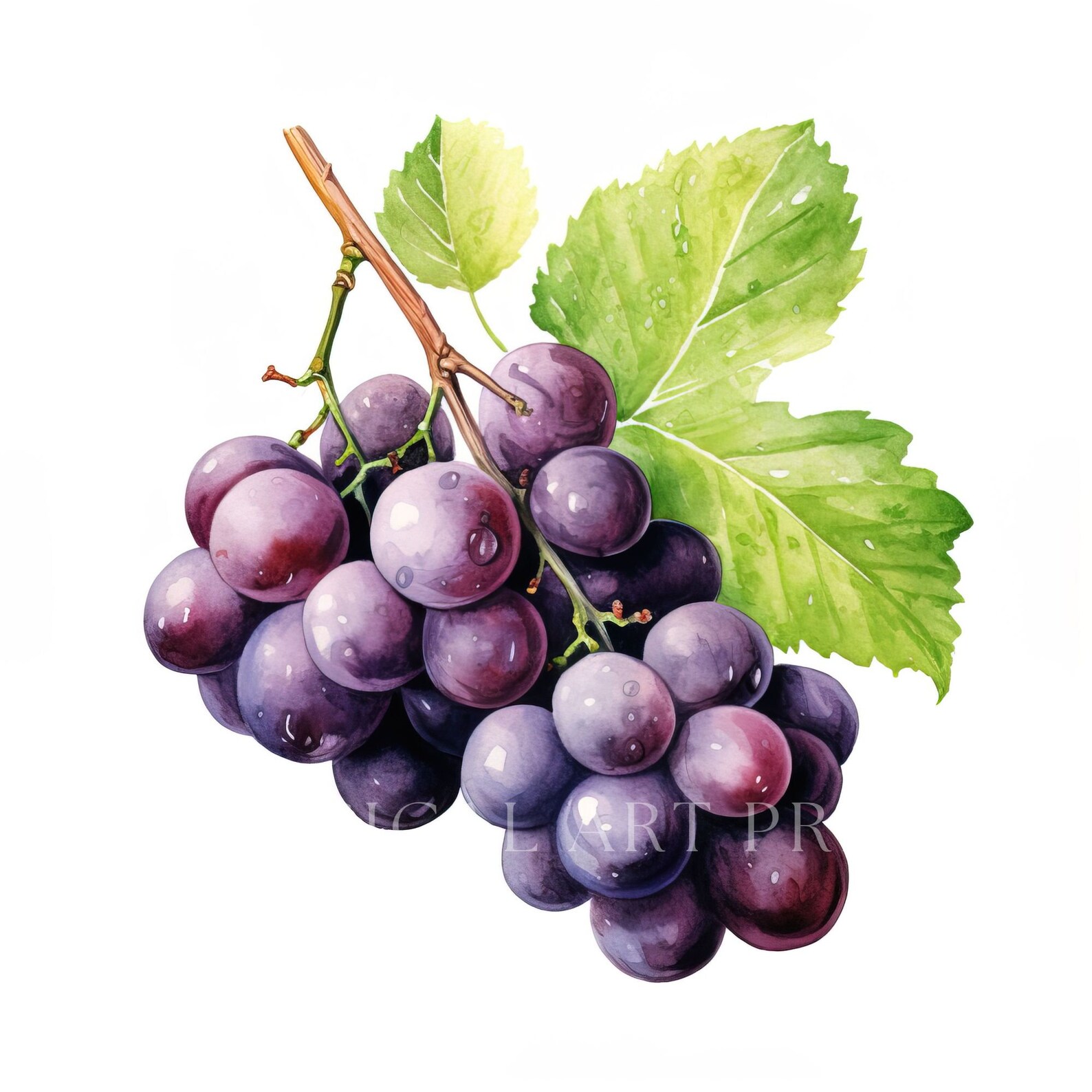 Grapes Clipart, Grape Juice, Fruit Clipart, Watercolor Grapes, Art ...