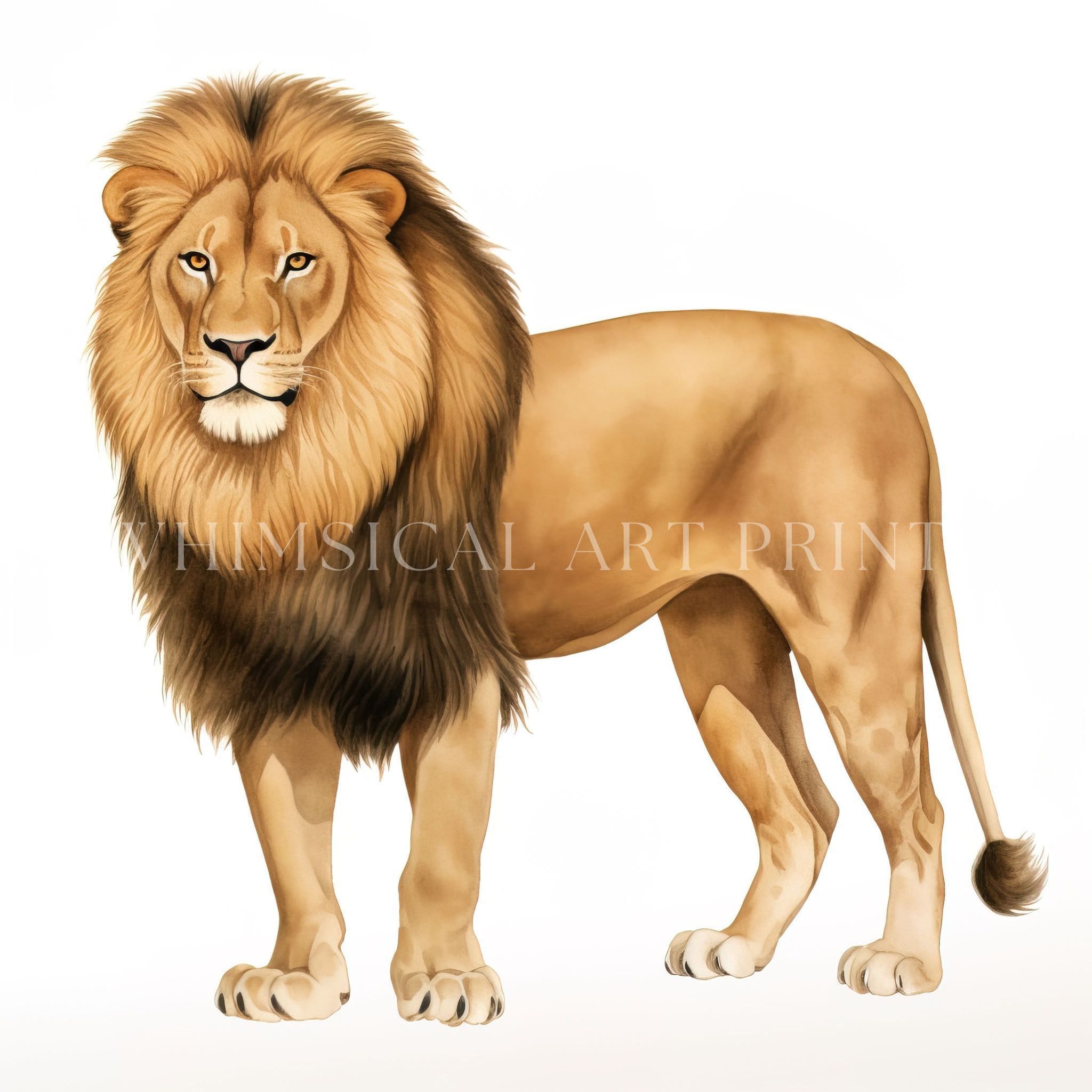 Watercolor Lion Clipart: Realistic Lion Portrait, Commercial Use (JPG ...