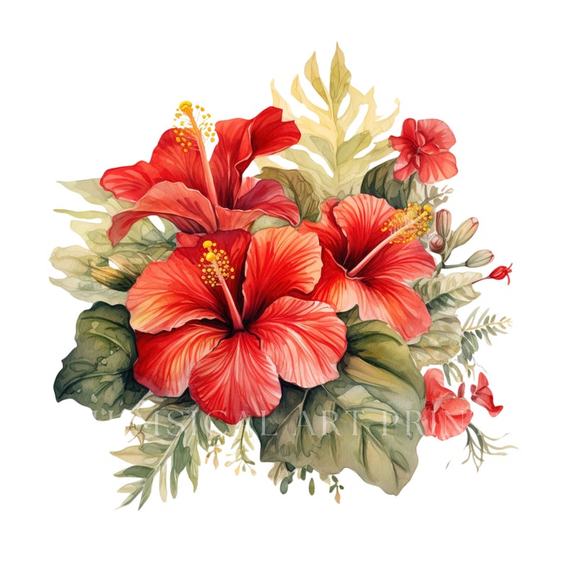 Watercolor Red Hibiscus Clipart Set: Tropical Flower Graphics (JPG, PNG ...