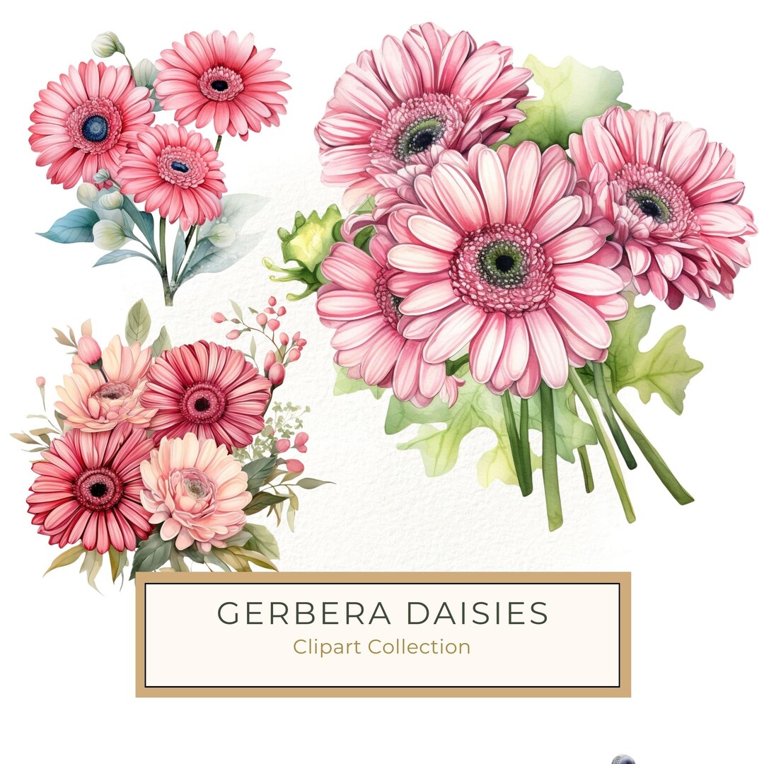 Pink Gerbera Daisy Clipart Vol. 2, Watercolor Floral Bouquet Art ...