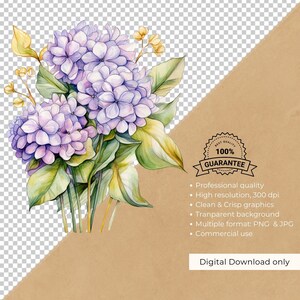 Purple Hydrangeas Clipart, Hydrangea Flowers Bouquet PNG, Watercolor ...