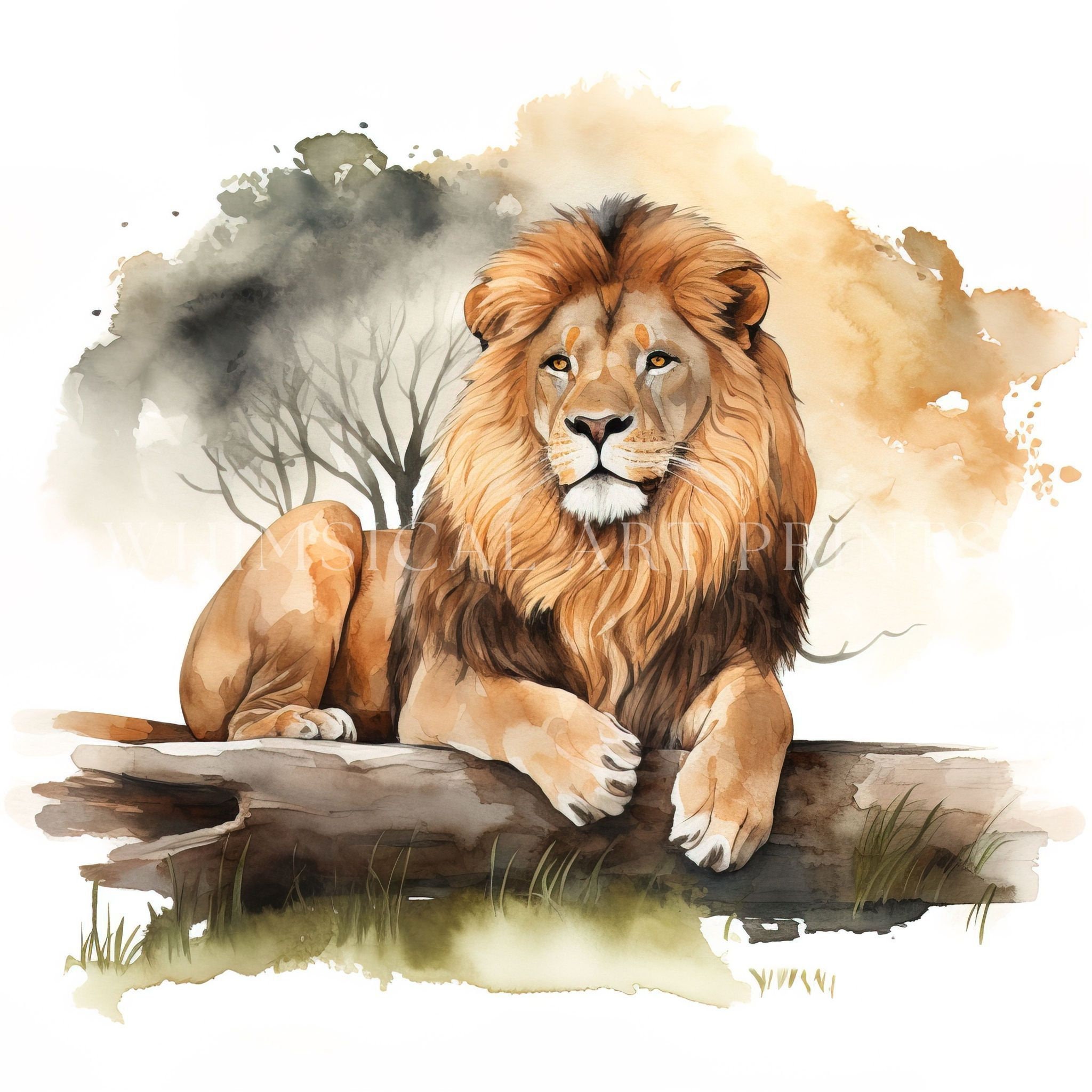 Adult Lion PNG, Watercolor Lions Clipart, Male Lion Portrait, Lion Wall ...