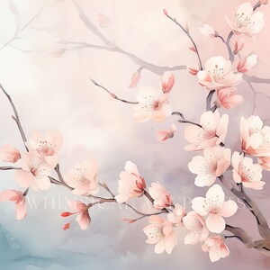 Sakura, Cherry Blossoms Digital Paper, Background Graphics, Watercolor ...