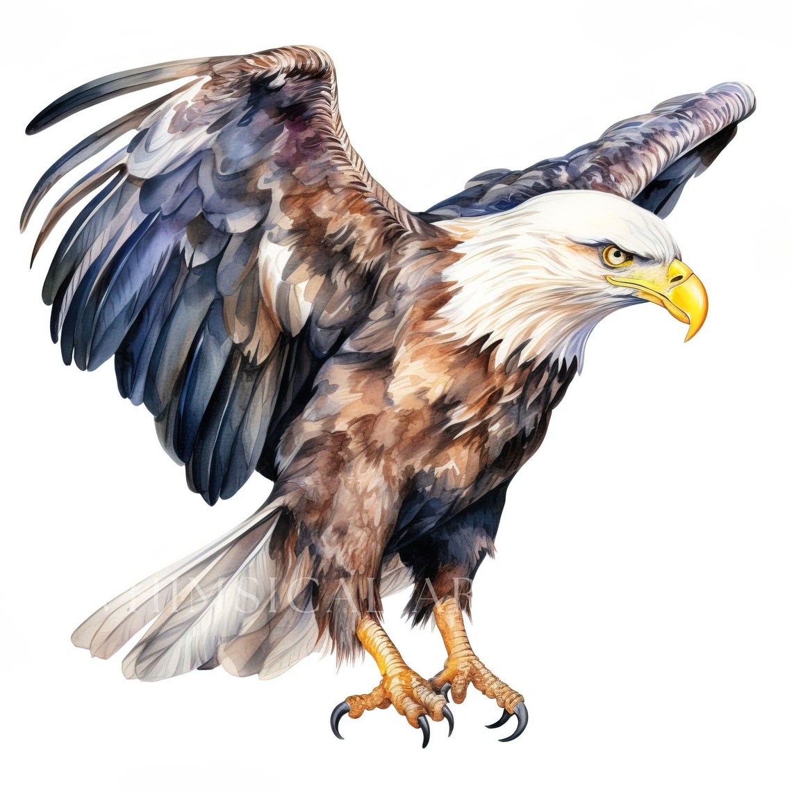 Bald Eagle Clipart, Bird Clipart, Watercolor Bald Eagle, Symbol Eagle ...