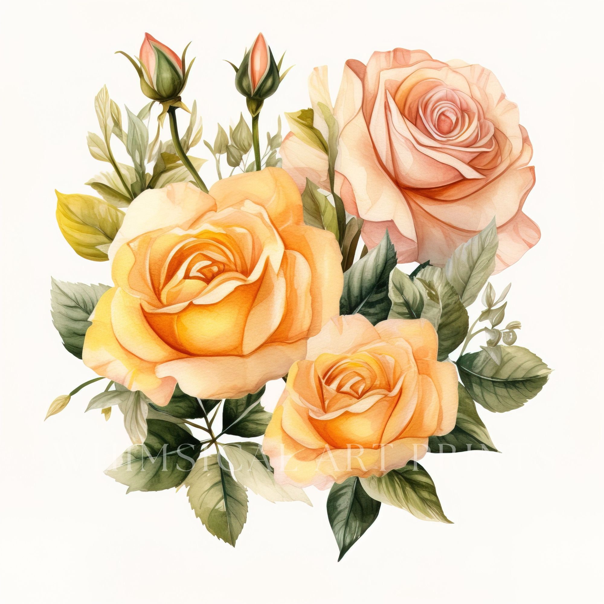 Peach Roses Clipart, Bouquet Clipart, Watercolor Flowers, Peach Color ...
