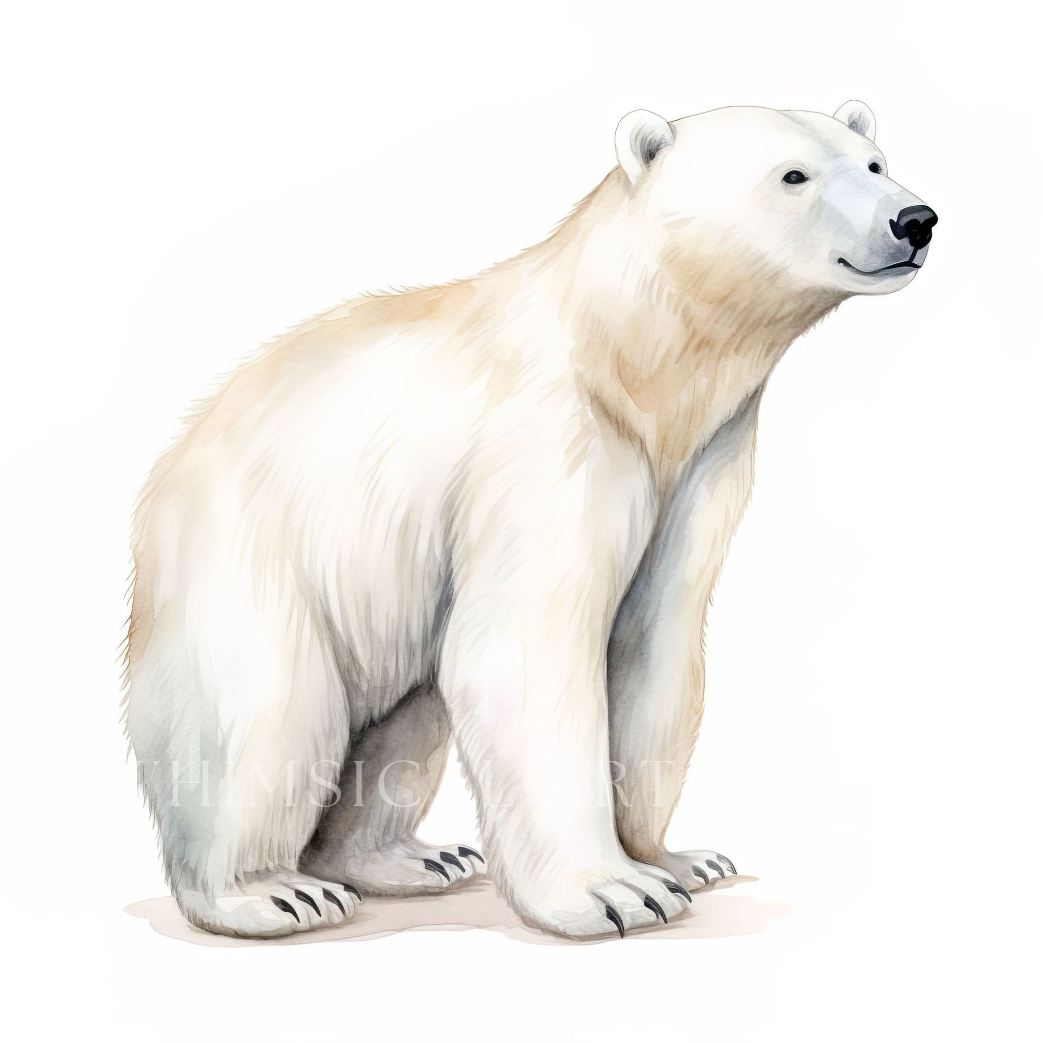 Polar Bear Clipart, Watercolor Polar Bear PNG, Polar Bear Watercolor ...