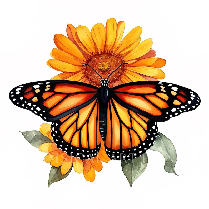 Monarch Butterfly Clipart, Close-up, Watercolor Clipart, Flower ...