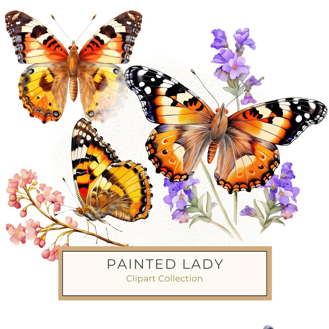 Painted Lady Butterfly Clipart, Butterfly Graphics, Watercolor ...