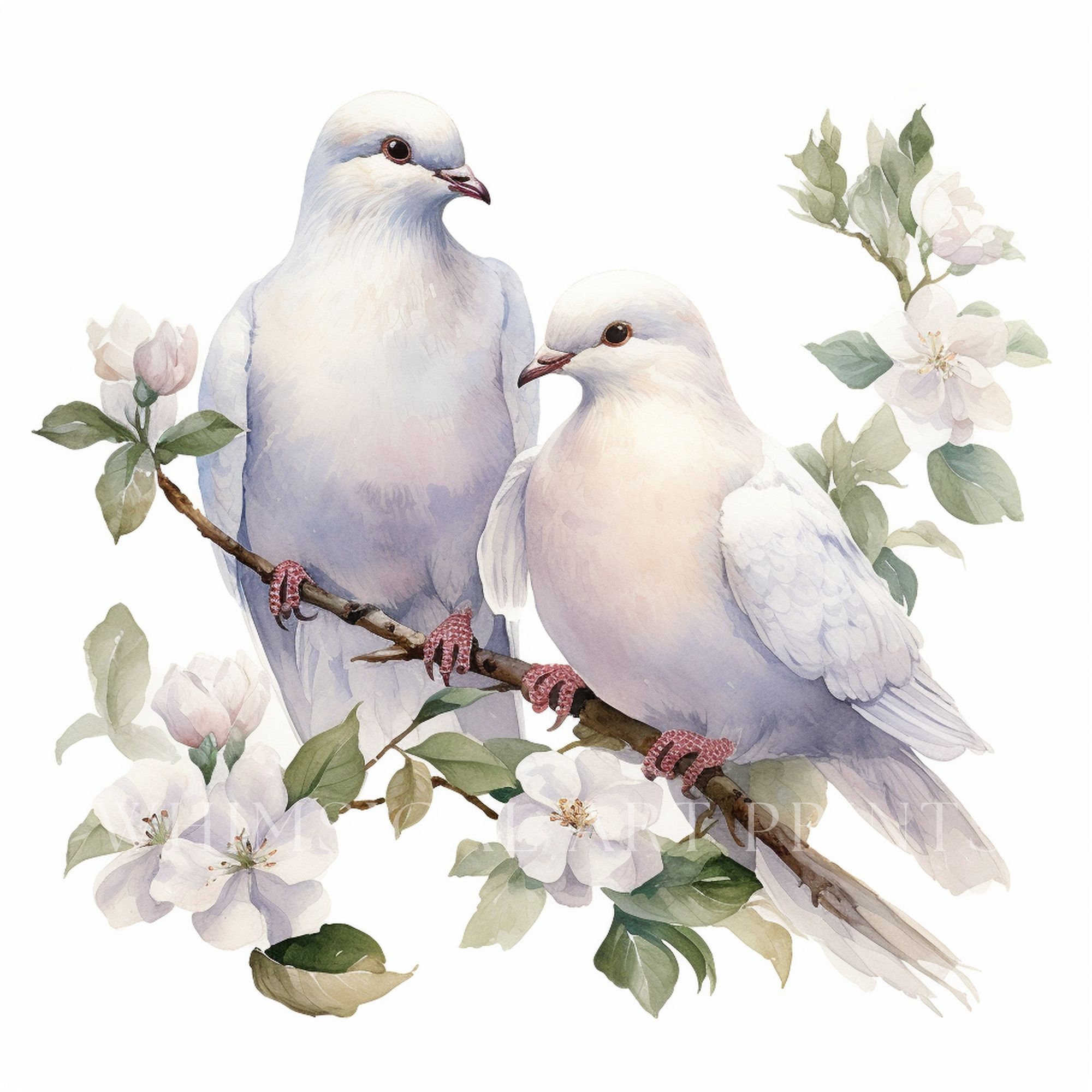 Dove Clipart, A Pair of White Doves on Flowery Branch Art Peaceful Bird ...