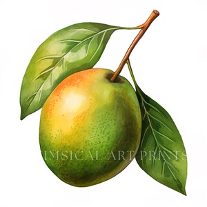 Mango Fruit Clipart, Mangoes Fruit Basket, Mango Juice Clipart ...