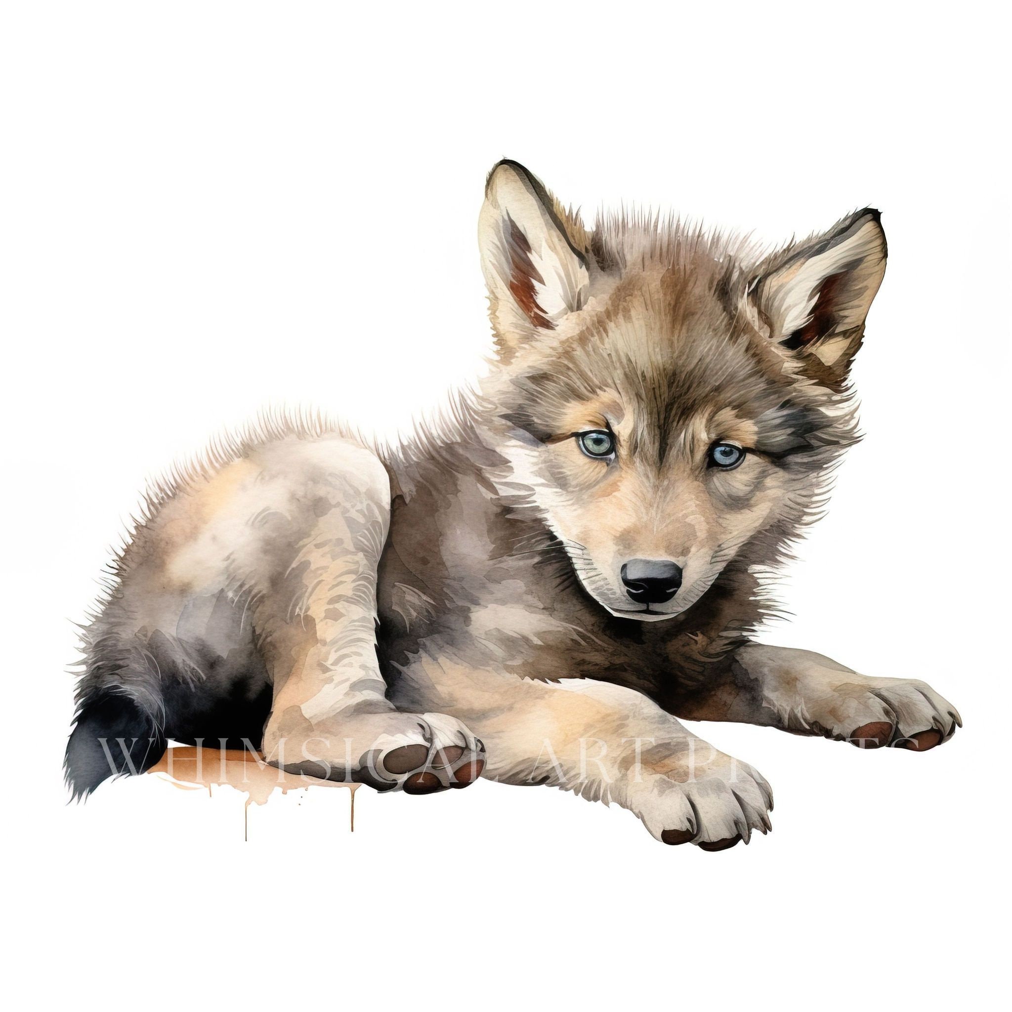 Wolf Puppy PNG, Watercolor Baby Wolf Clipart, Wolf Puppy Portrait, Wall ...