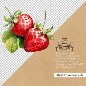 Strawberry PNG, Strawberry Fruit Clipart, Realistic Watercolor ...