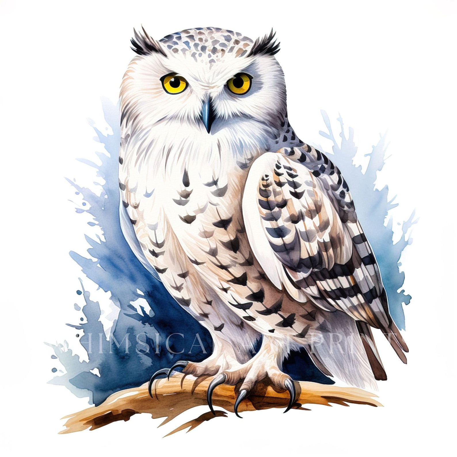 Snowy Owl Clipart, Bird Clipart, Watercolor Snowy Owls, Owls ...